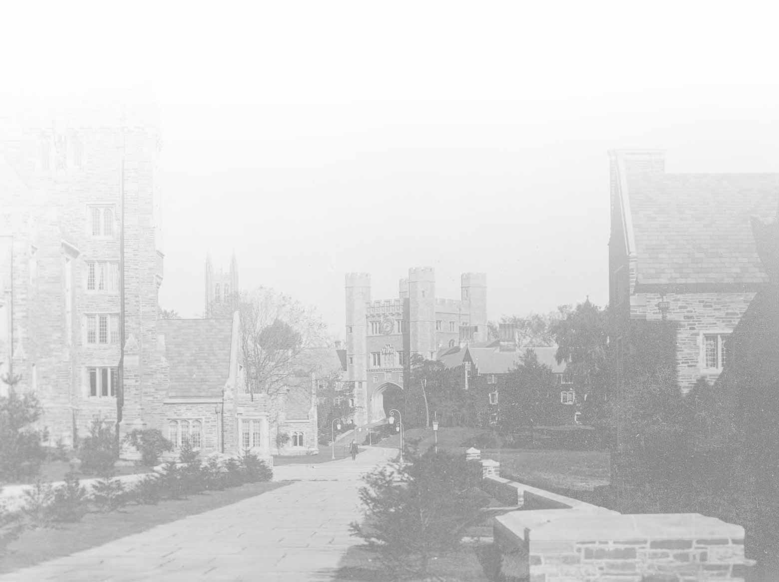 F. Scott Fitzgerald Timeline & Biography